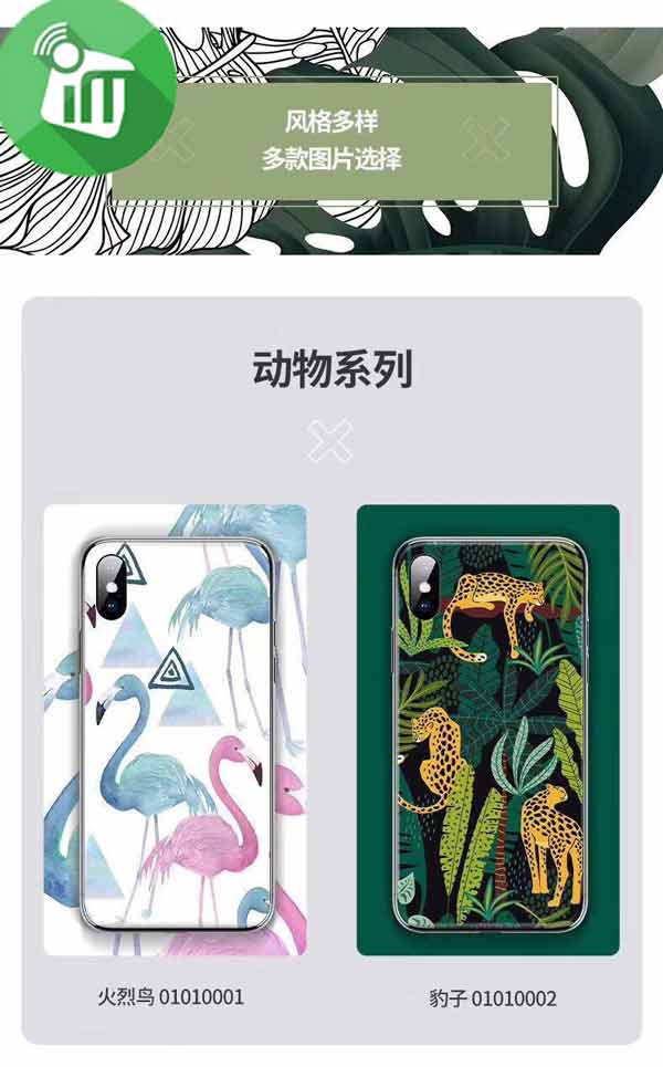 Rock Space Back Skin Protector For All Mobiles (S Size) | iMedia stores